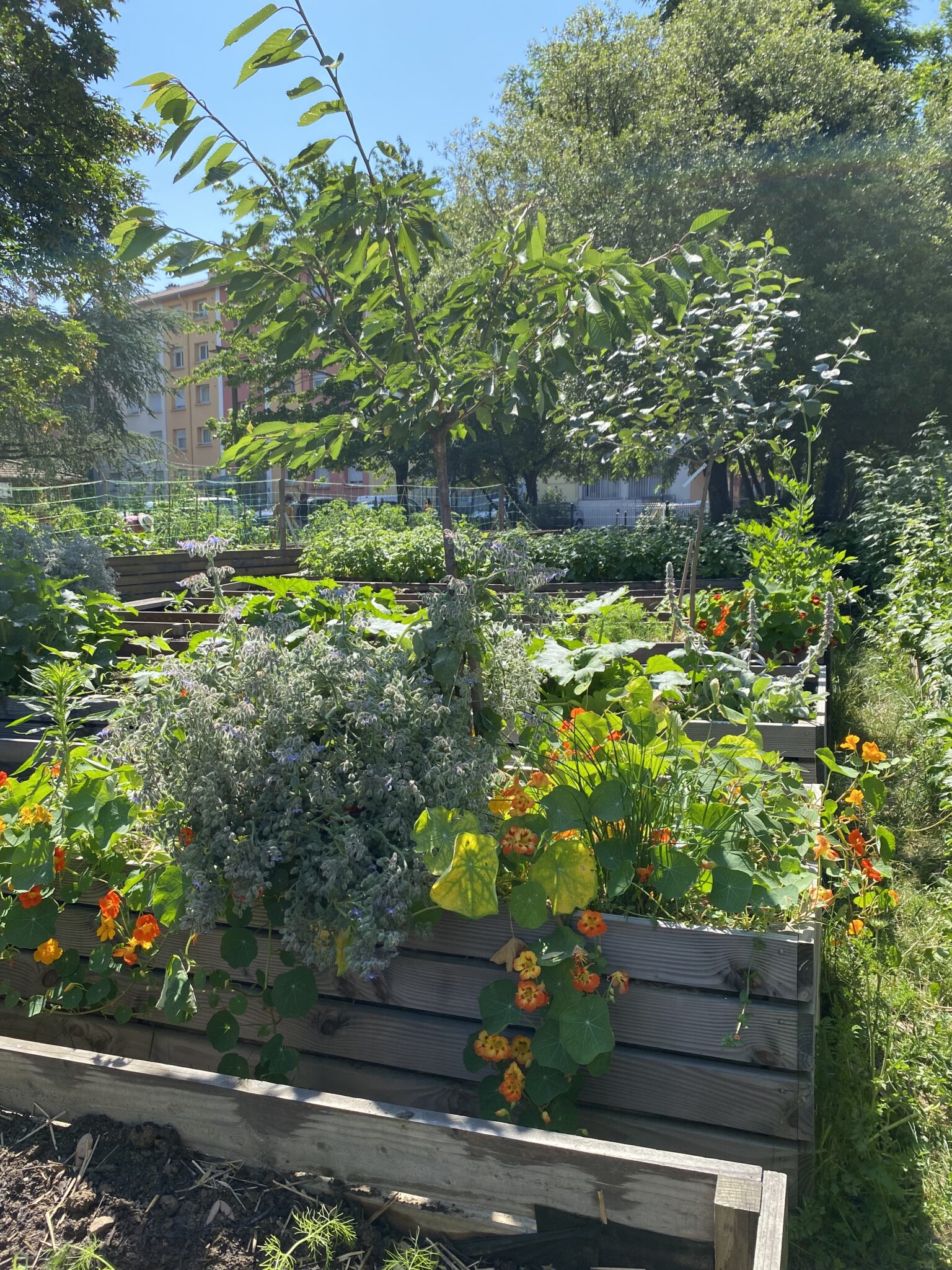 Notre mission – Gaïa Lyon